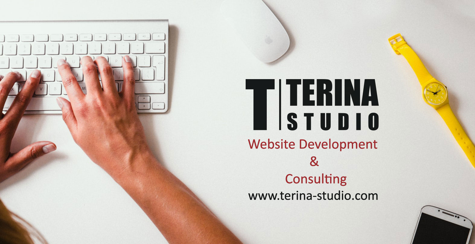 Разработка сайтов и CRM | Terina Studio